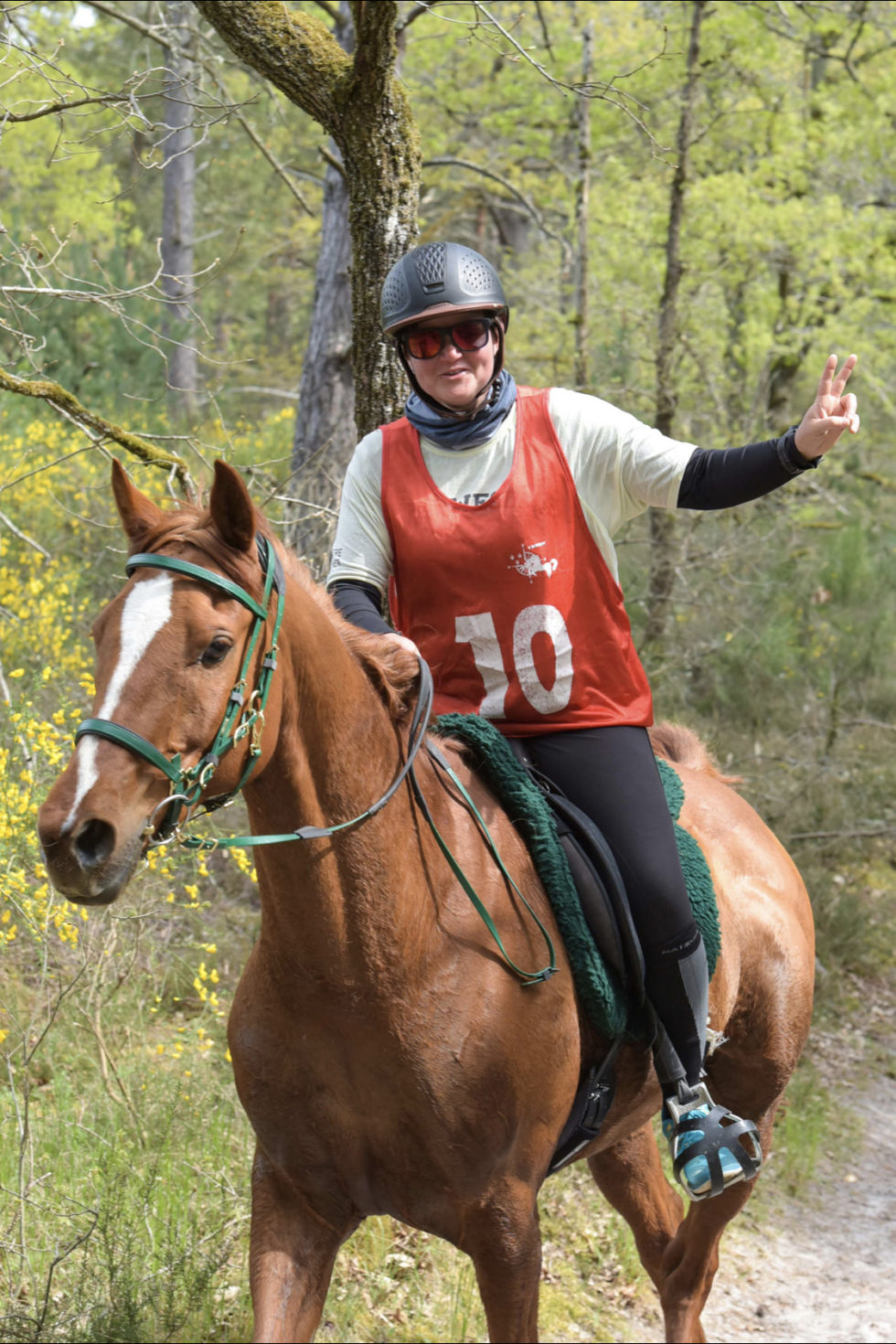 Quelle fréquence cardiaque selon l’allure de mon cheval ? | Haizum