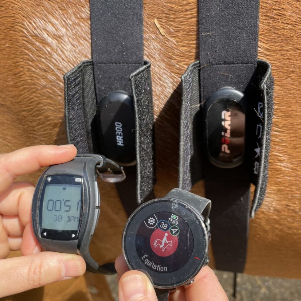 Quels combos montres GPS/capteurs pour pratiquer l’endurance équestre ...