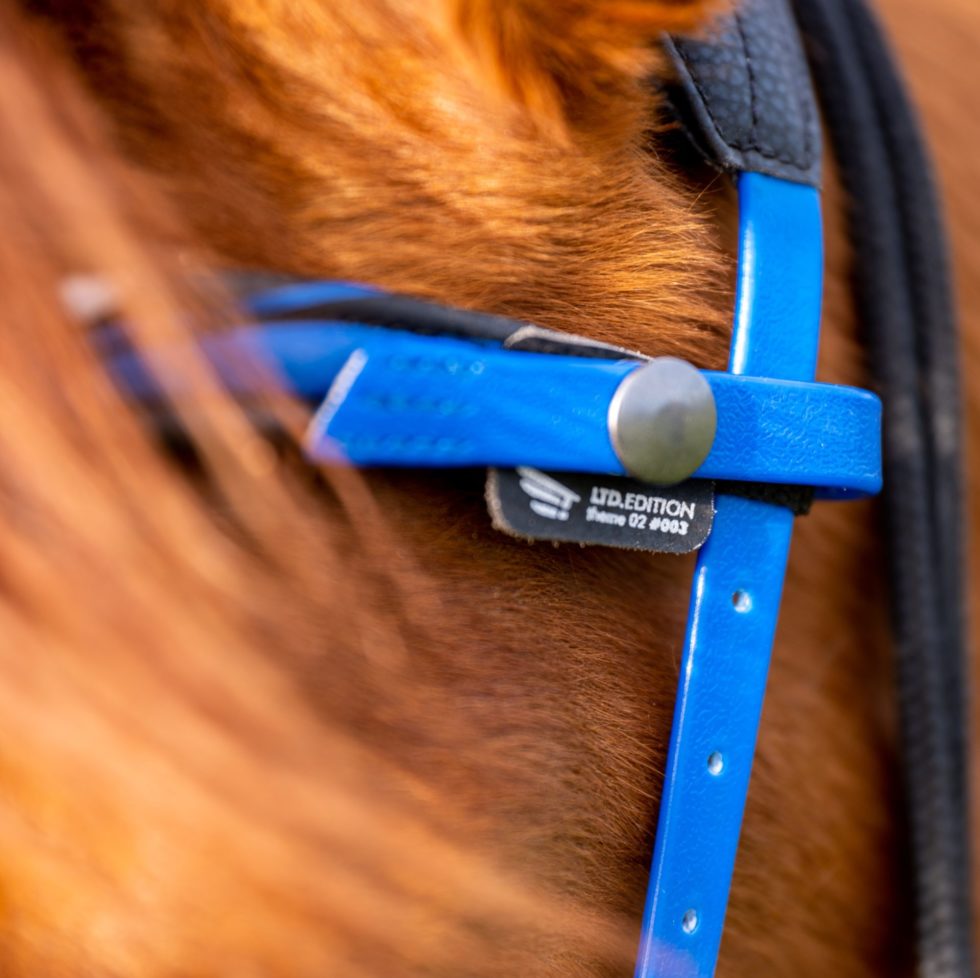 Frontal édition limitée | Haizum