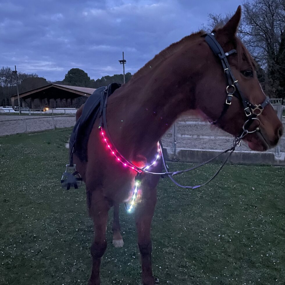 collier de chasse lumineux | Haizum